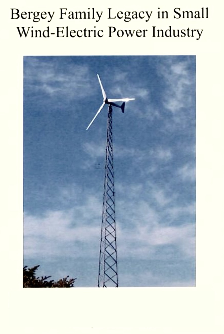 Home - Bergey Windpower Co.
